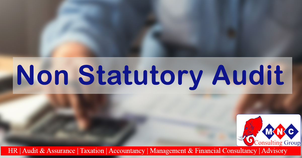 Non-statutory Audit – MNC Consulting Group